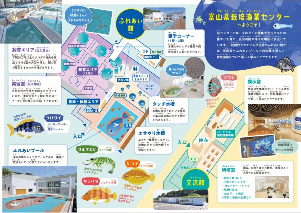 Summary / まとめ記事 | はっぱファン（Happa-fun）‐公式ブログ‐