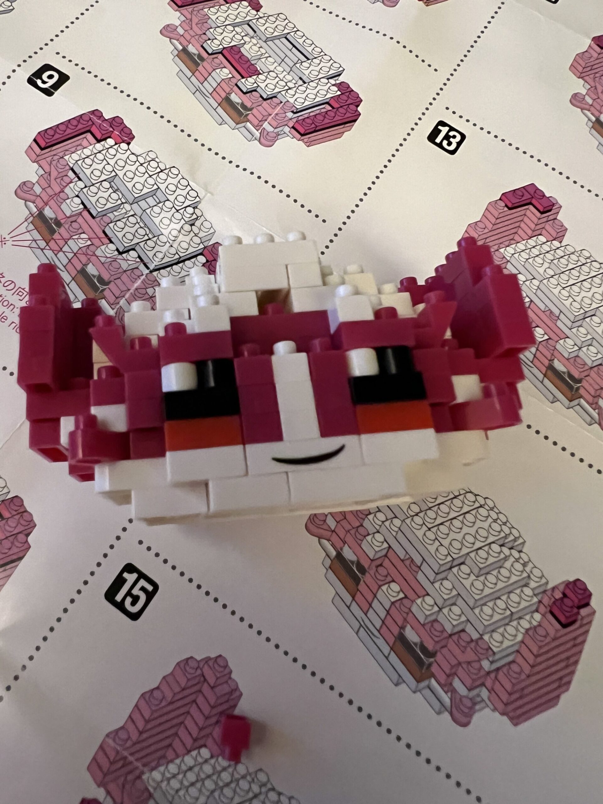 IMG_8597 | はっぱファン（Happa-fun）‐公式ブログ‐