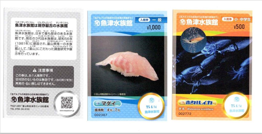 Diary / ダイアリー | はっぱファン（Happa-fun）‐公式ブログ‐